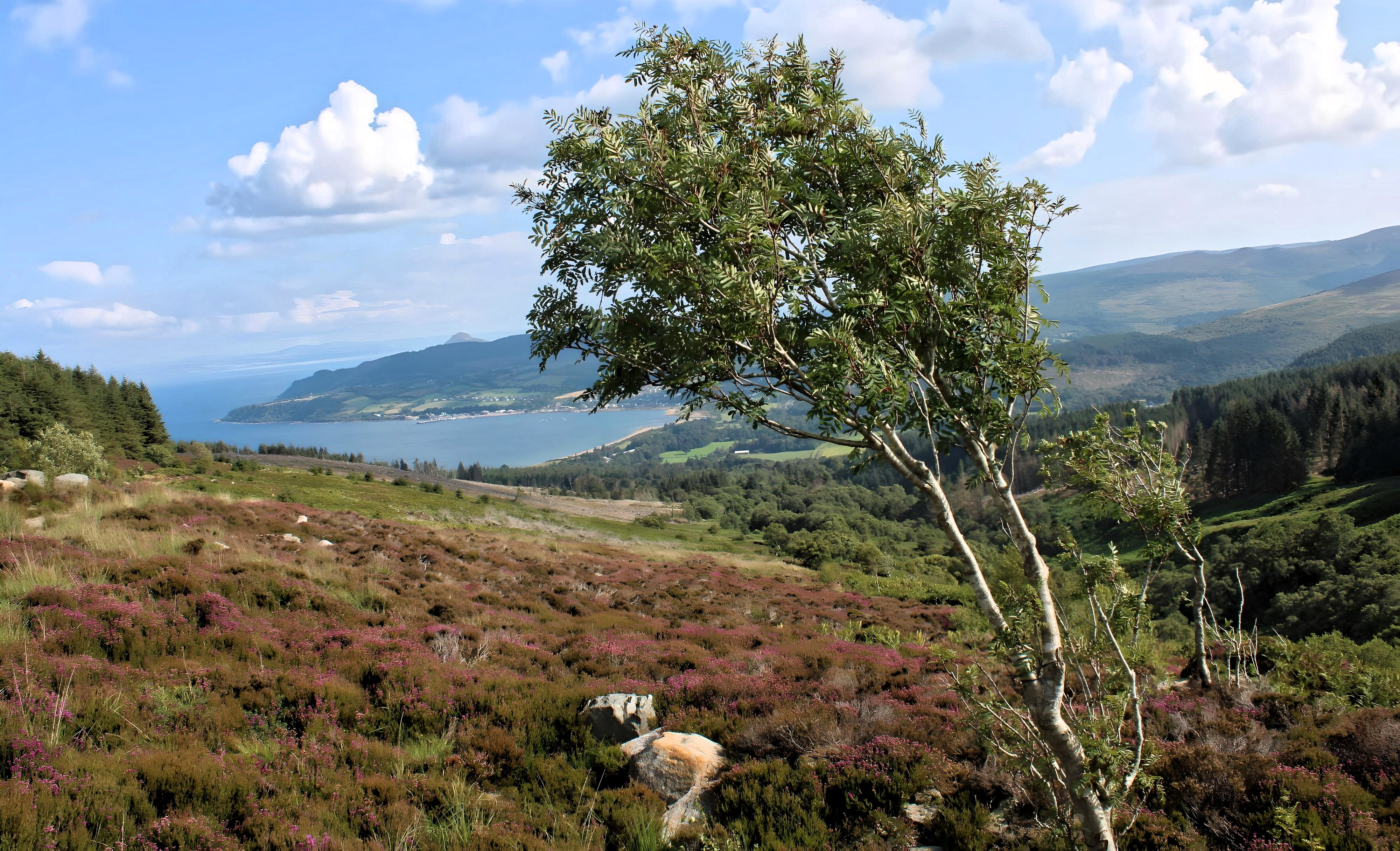 The Goatfell Mountain Collection - Isle of Arran. Scotland ...