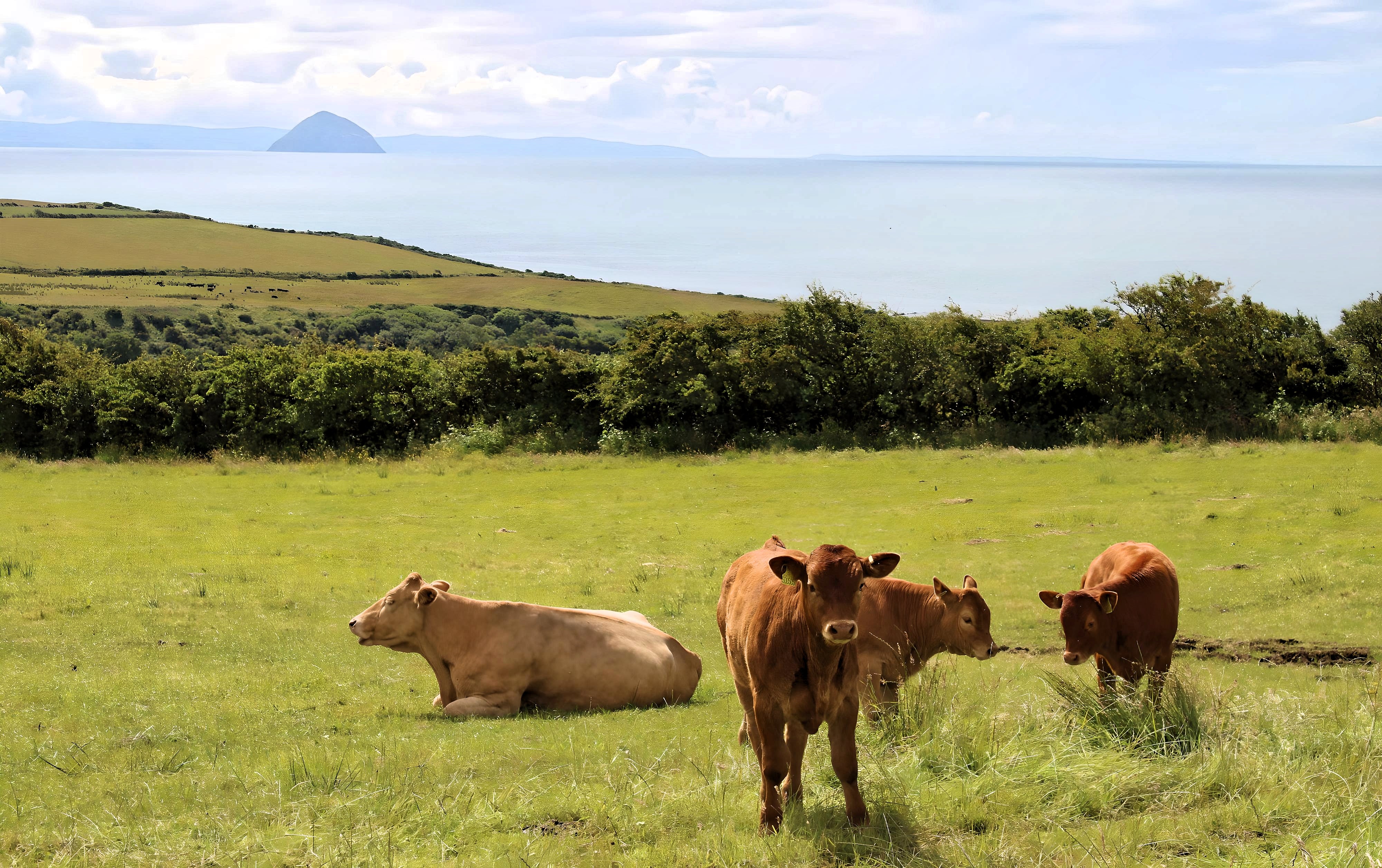 Sliddery - Ailsa Craig View. Isle of Arran - Scotland. – Picturesque ...