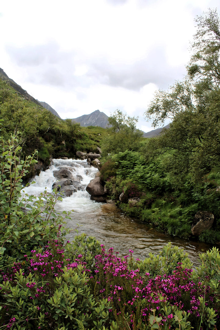 Glen Rosa Collection - Isle of Arran. Scotland. – Picturesque Moments