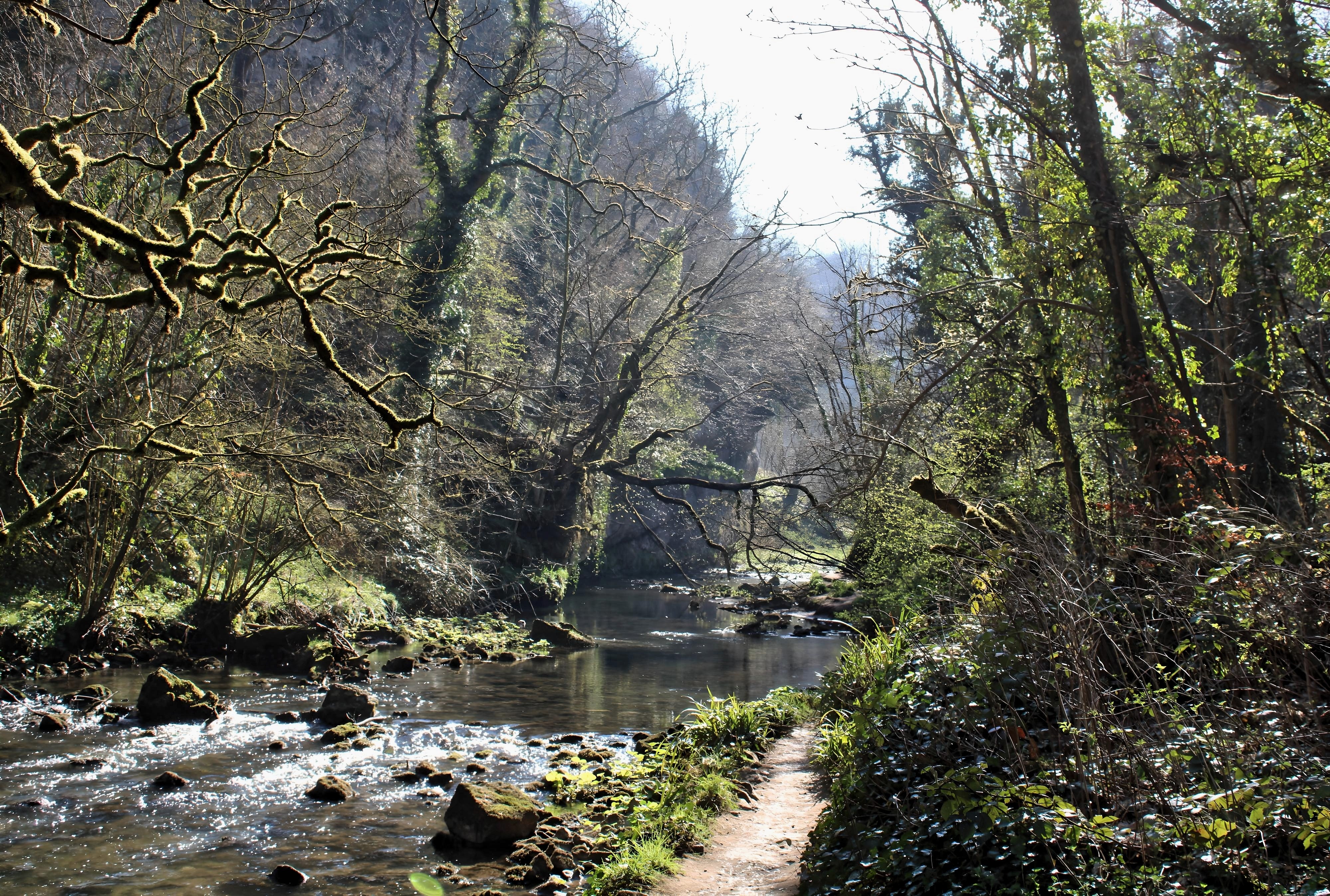 Chee Dale Nature Reserve - Peak District National Park. England ...