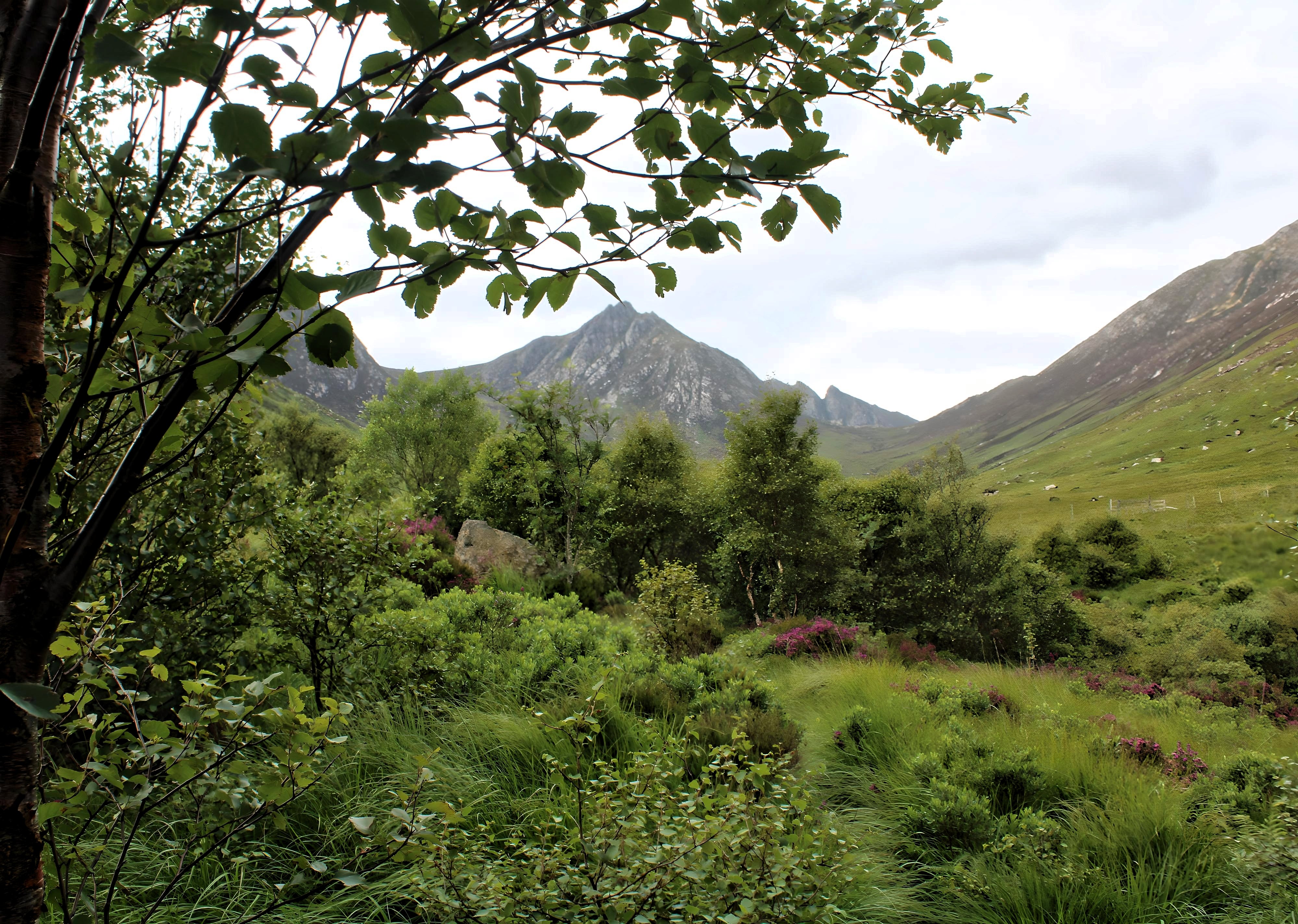 Glen Rosa - Isle of Arran. Scotland. – Picturesque Moments