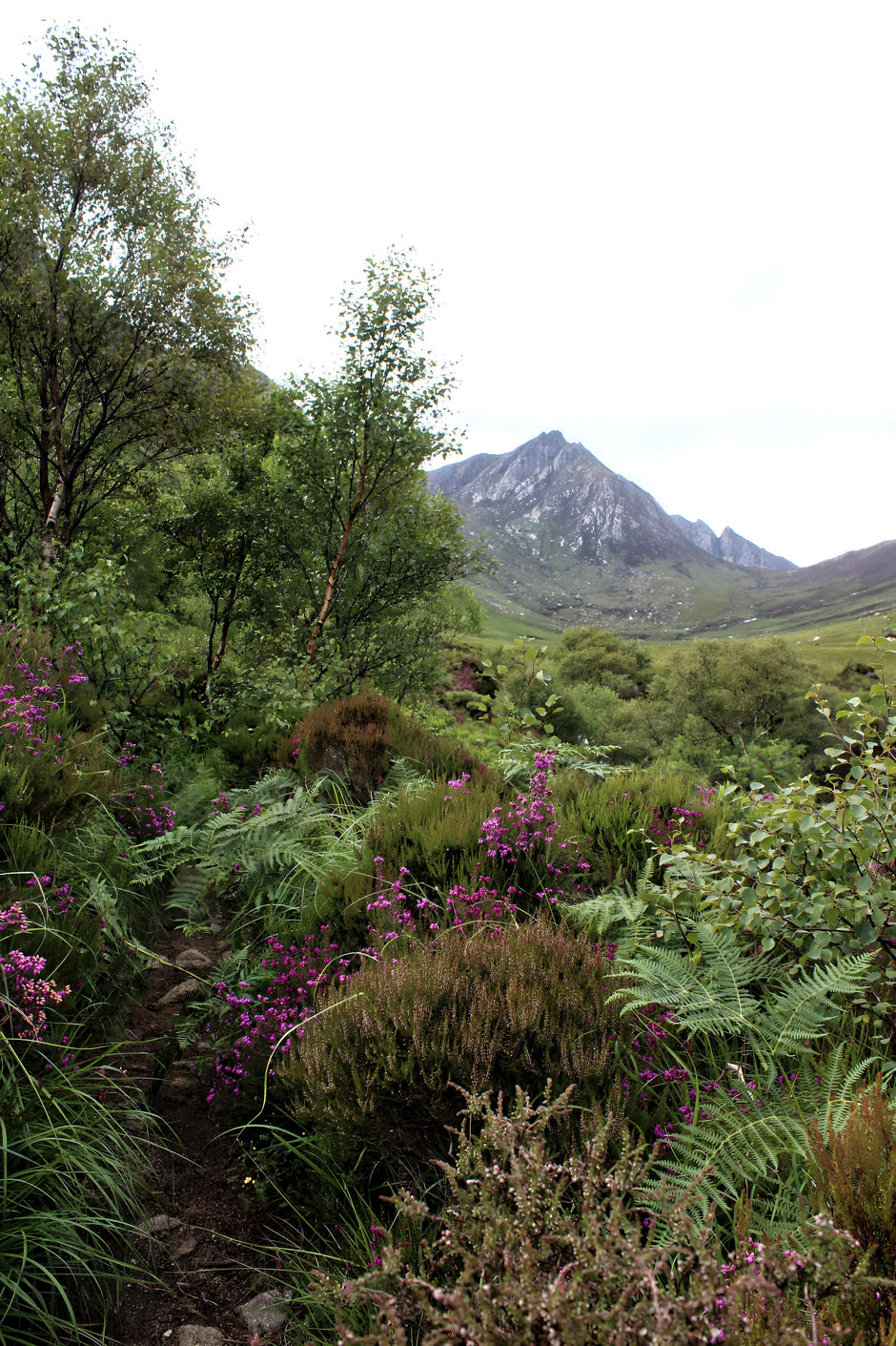 Glen Rosa Collection - Isle of Arran. Scotland. – Picturesque Moments