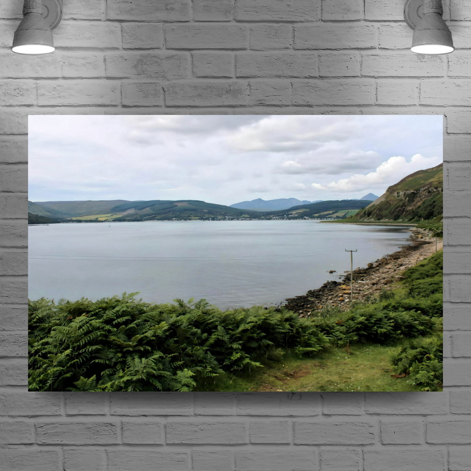 Canvas Art - Scottish Landscapes & Seascapes. Holy Isle - Firth of Cly ...